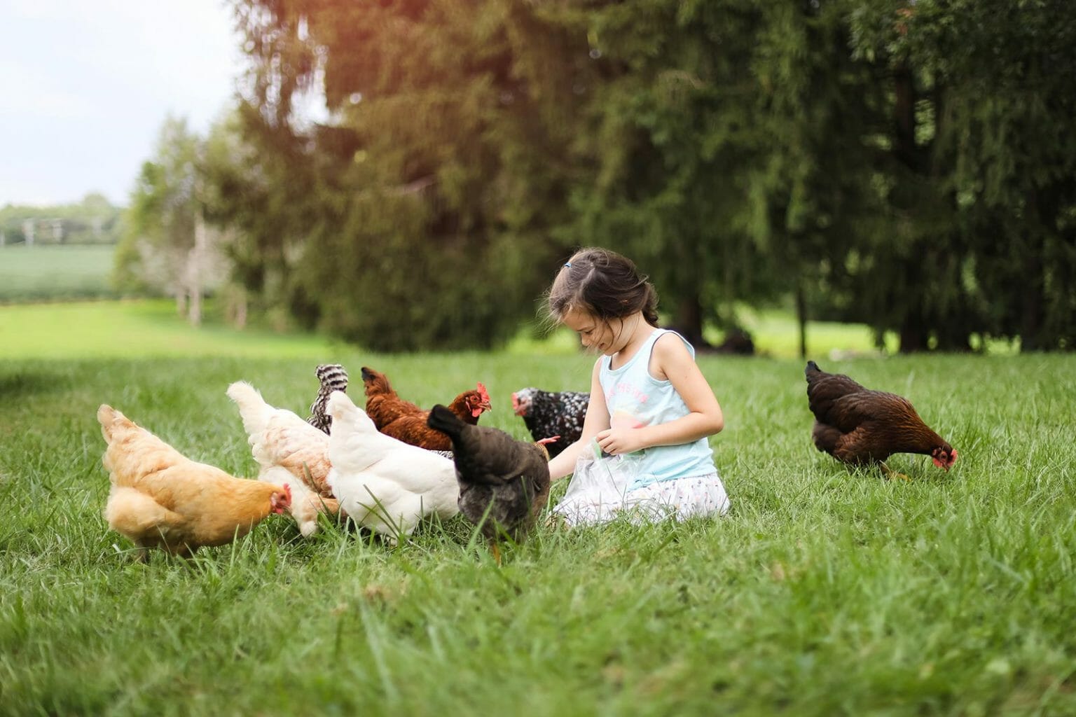 Saturday, June 10, 2023 – Harford Legacy Farms – Harford Land Trust