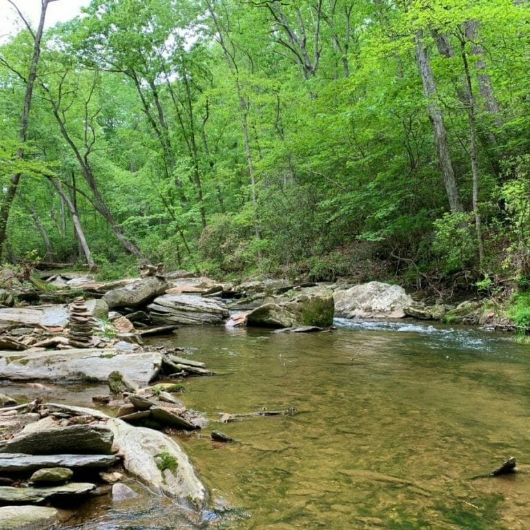 75 acres of Unspoiled Mature Deciduous Forest Saved – Harford Land Trust